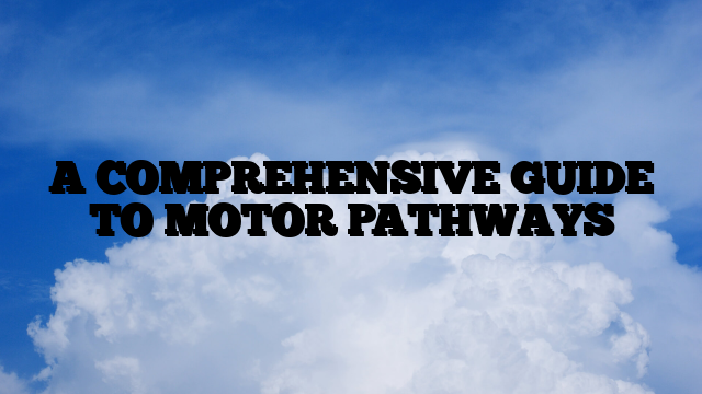 A COMPREHENSIVE GUIDE TO MOTOR PATHWAYS | Austin Tommy