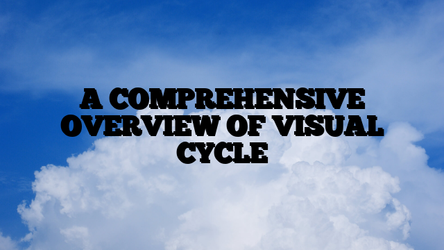 A COMPREHENSIVE OVERVIEW OF VISUAL CYCLE | Austin Tommy