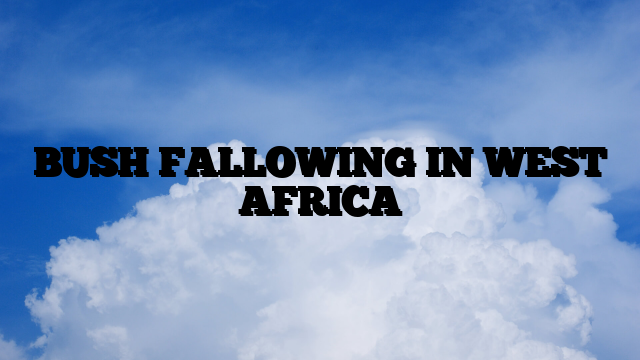 BUSH FALLOWING IN WEST AFRICA | Austin Tommy