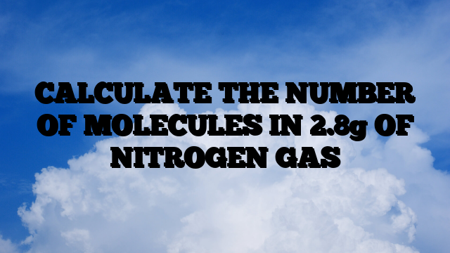 CALCULATE THE NUMBER OF MOLECULES IN 2.8g OF NITROGEN GAS | Austin Tommy