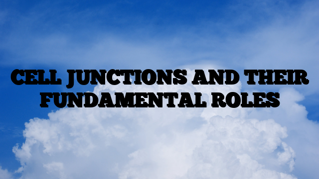 CELL JUNCTIONS AND THEIR FUNDAMENTAL ROLES | Austin Tommy