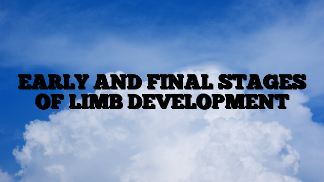 THE SCIENCE BEHIND SKELETAL MUSCLE DEVELOPMENT – Austin Tommy