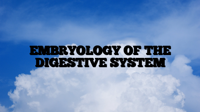 EMBRYOLOGY OF THE DIGESTIVE SYSTEM | Austin Tommy