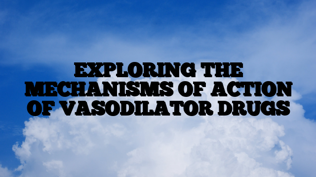 EXPLORING THE MECHANISMS OF ACTION OF VASODILATOR DRUGS | Austin Tommy
