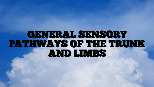 GENERAL SENSORY PATHWAYS OF THE TRUNK AND LIMBS | Austin Tommy