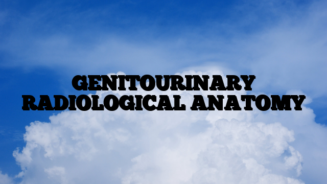 GENITOURINARY RADIOLOGICAL ANATOMY | Austin Tommy