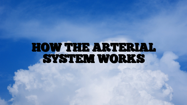 HOW THE ARTERIAL SYSTEM WORKS | Austin Tommy