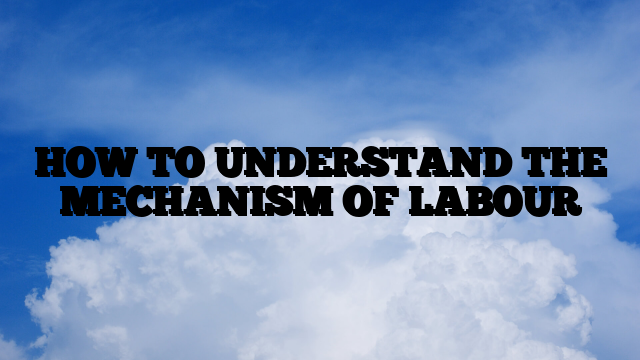 HOW TO UNDERSTAND THE MECHANISM OF LABOUR | Austin Tommy