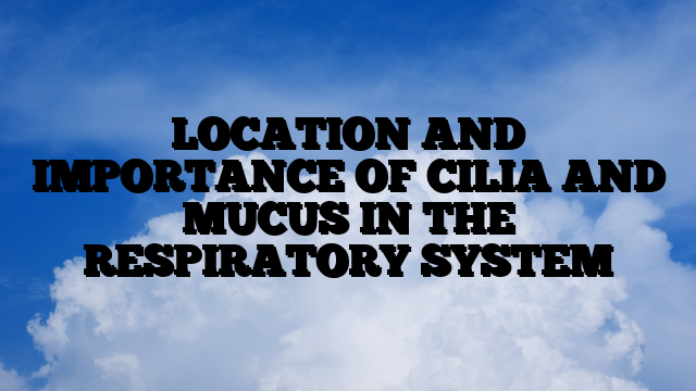 LOCATION AND IMPORTANCE OF CILIA AND MUCUS IN THE RESPIRATORY SYSTEM ...