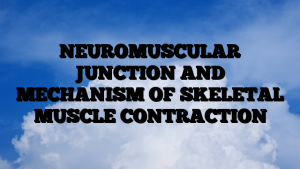 NEUROMUSCULAR JUNCTION AND MECHANISM OF SKELETAL MUSCLE CONTRACTION ...