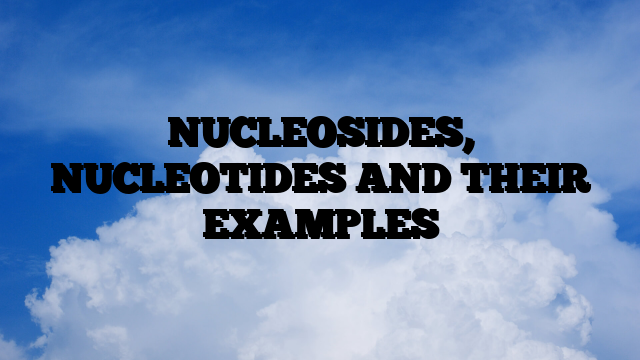 NUCLEOSIDES, NUCLEOTIDES AND THEIR EXAMPLES | Austin Tommy