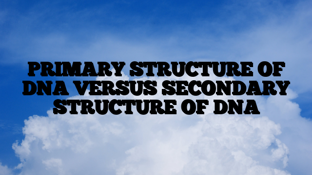PRIMARY STRUCTURE OF DNA VERSUS SECONDARY STRUCTURE OF DNA | Austin Tommy