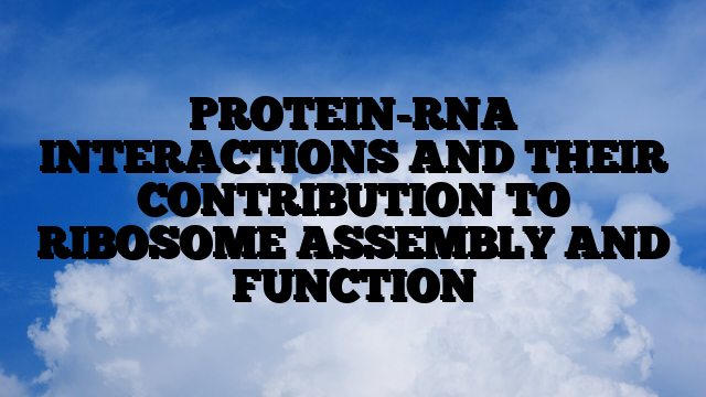 PROTEIN-RNA INTERACTIONS AND THEIR CONTRIBUTION TO RIBOSOME ASSEMBLY ...