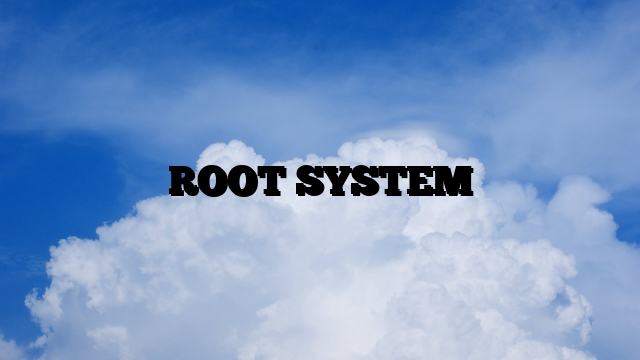 ROOT SYSTEM | Austin Tommy