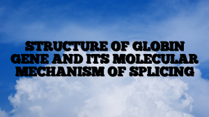 STRUCTURE OF GLOBIN GENE AND ITS MOLECULAR MECHANISM OF SPLICING ...