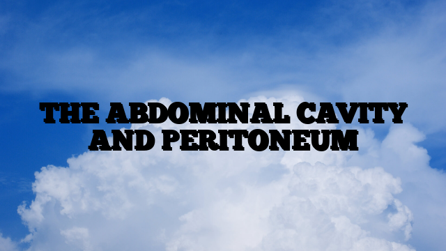 THE ABDOMINAL CAVITY AND PERITONEUM | Austin Tommy