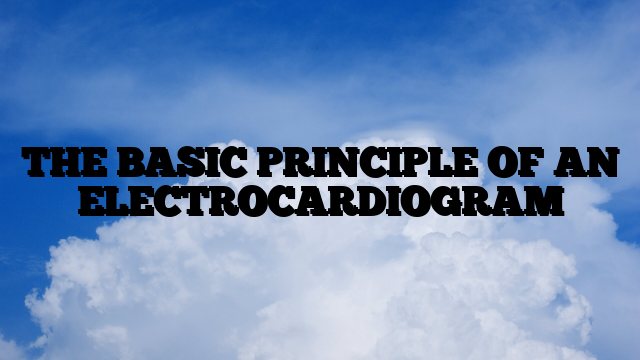 THE BASIC PRINCIPLE OF AN ELECTROCARDIOGRAM | Austin Tommy