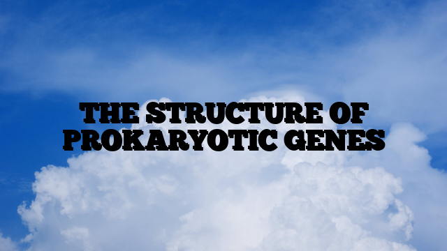 THE STRUCTURE OF PROKARYOTIC GENES | Austin Tommy