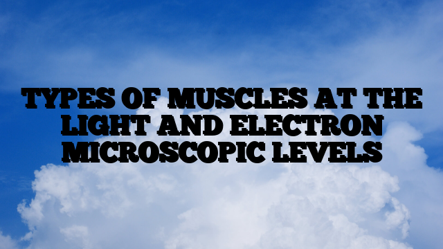 TYPES OF MUSCLES AT THE LIGHT AND ELECTRON MICROSCOPIC LEVELS | Austin ...
