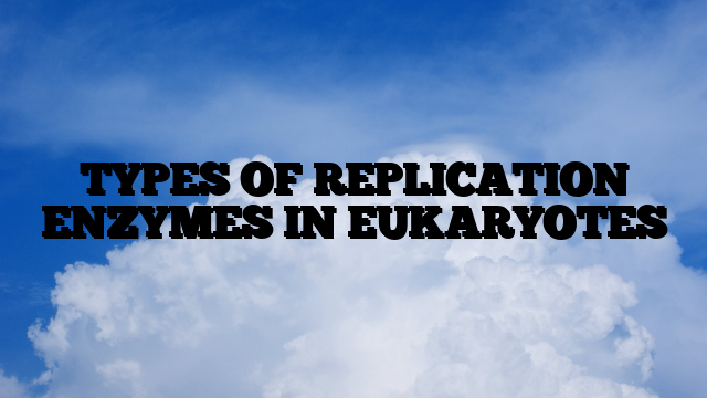 TYPES OF REPLICATION ENZYMES IN EUKARYOTES | Austin Tommy