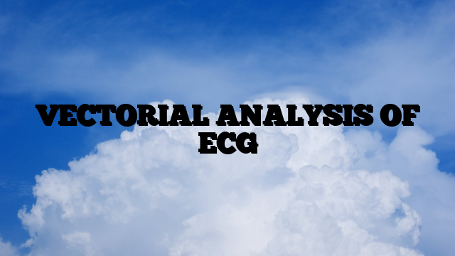 VECTORIAL ANALYSIS OF ECG | Austin Tommy