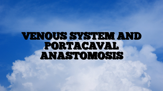 VENOUS SYSTEM AND PORTACAVAL ANASTOMOSIS | Austin Tommy