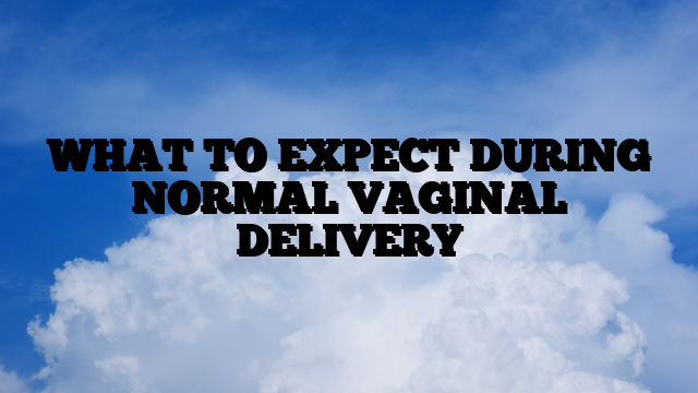 WHAT TO EXPECT DURING NORMAL VAGINAL DELIVERY | Austin Tommy